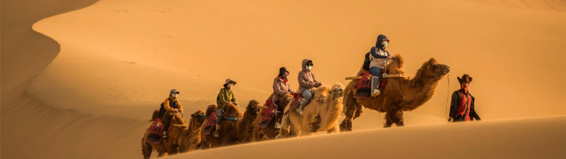 What Was Traded on the Silk Road: From Silk to Spices